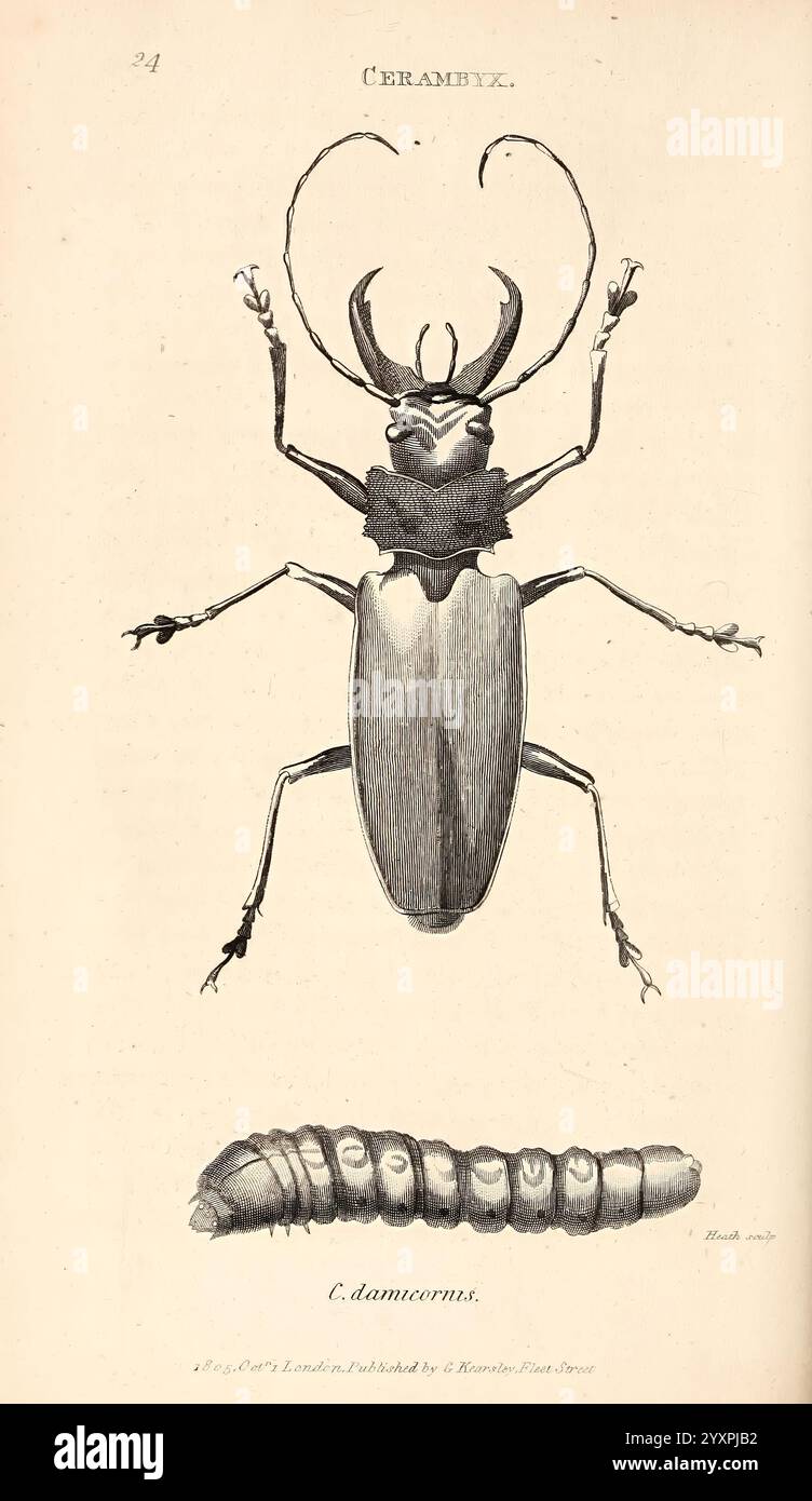 General zoology, or Systematic natural history, London, Printed for G ...