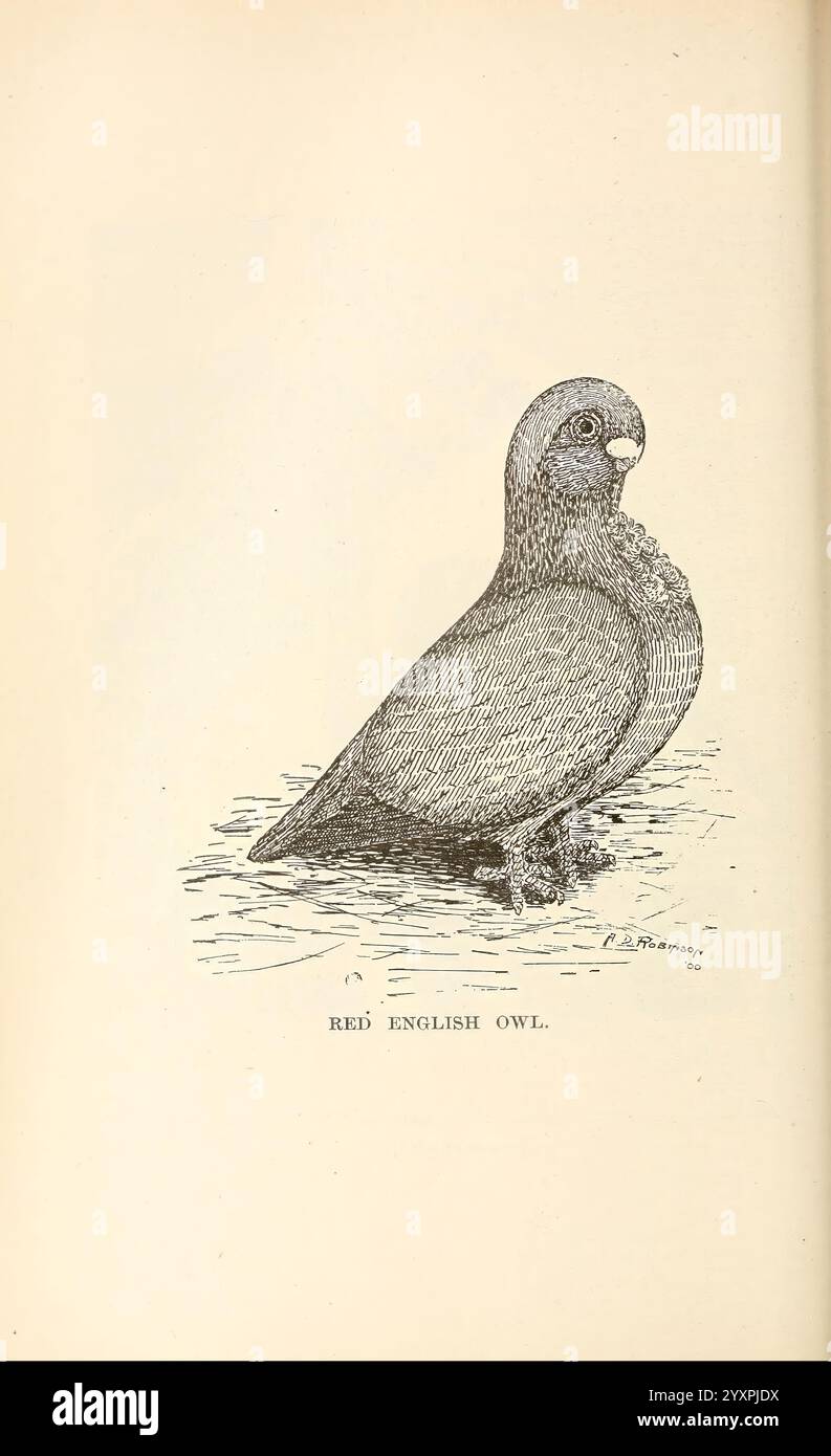 Intricate line work typical hi-res stock photography and images - Alamy