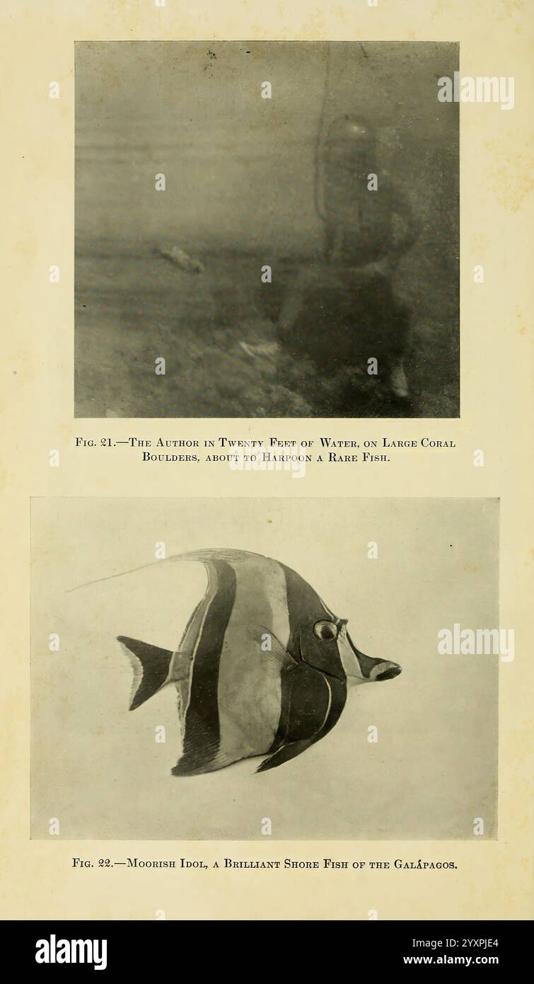 The Arcturus Adventure, New York, 1926, Arcturus ship, Cocos Island ...