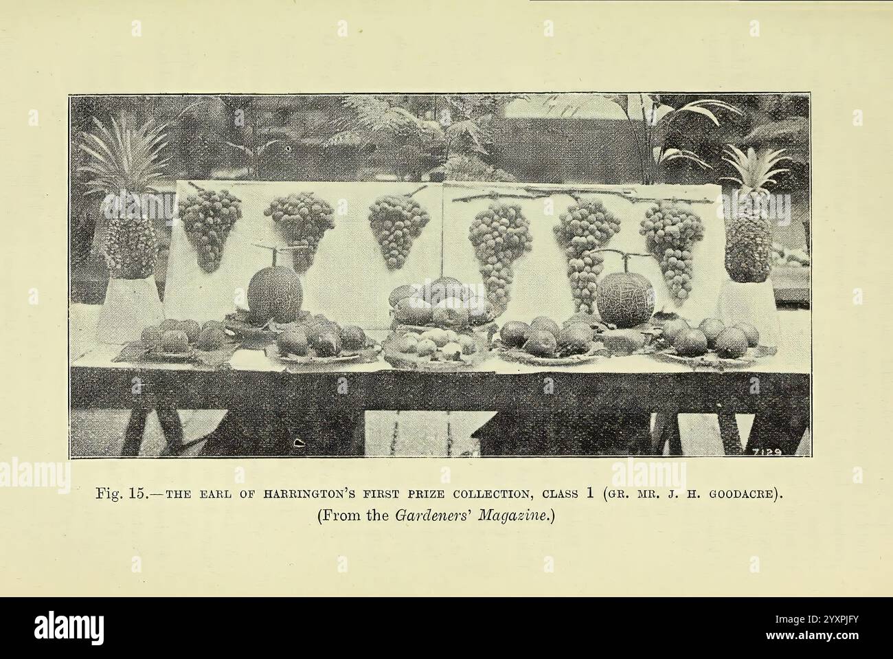 British grown fruit showcases hi-res stock photography and images - Alamy