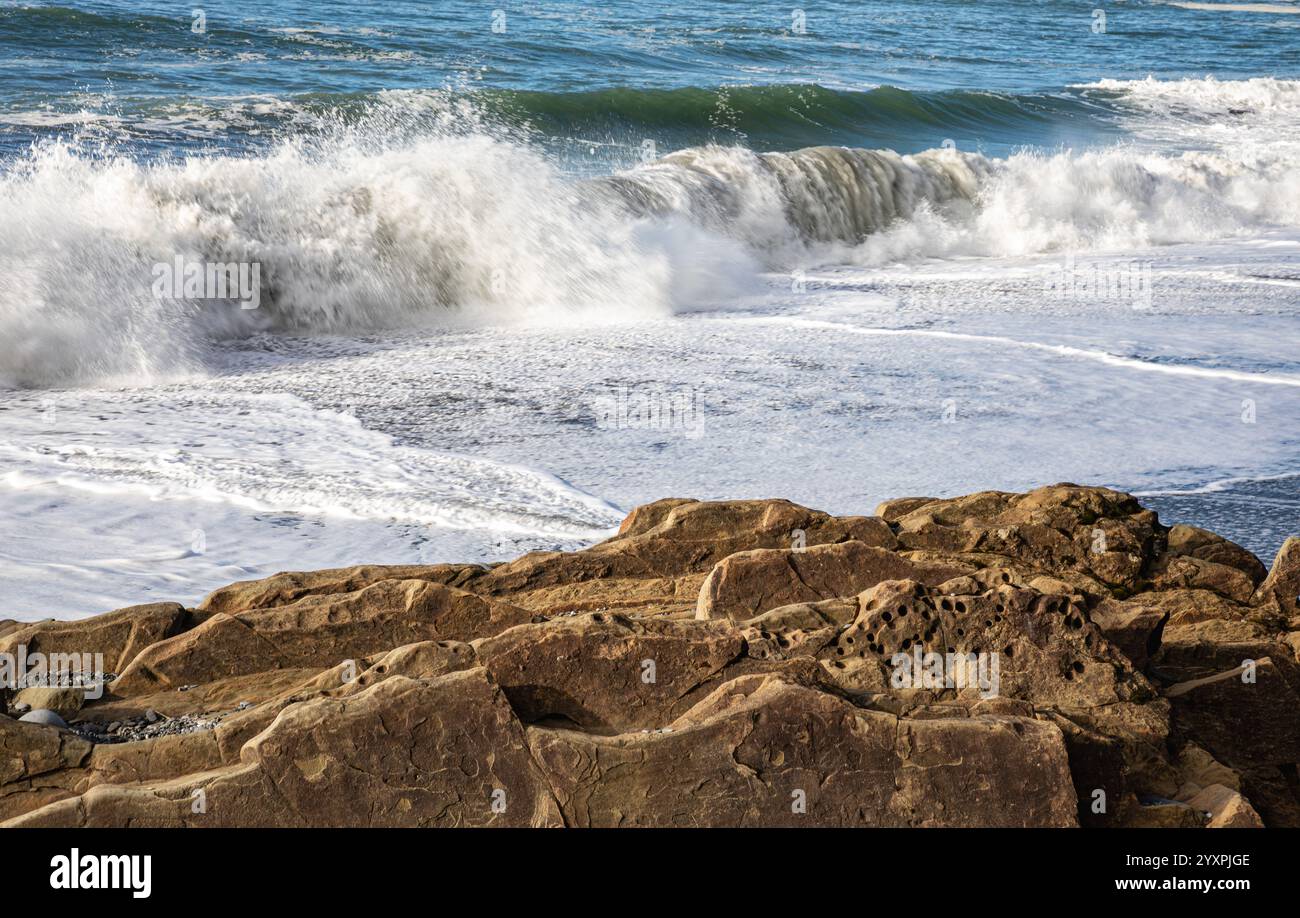 Soft shell clam hole beach hi-res stock photography and images - Alamy