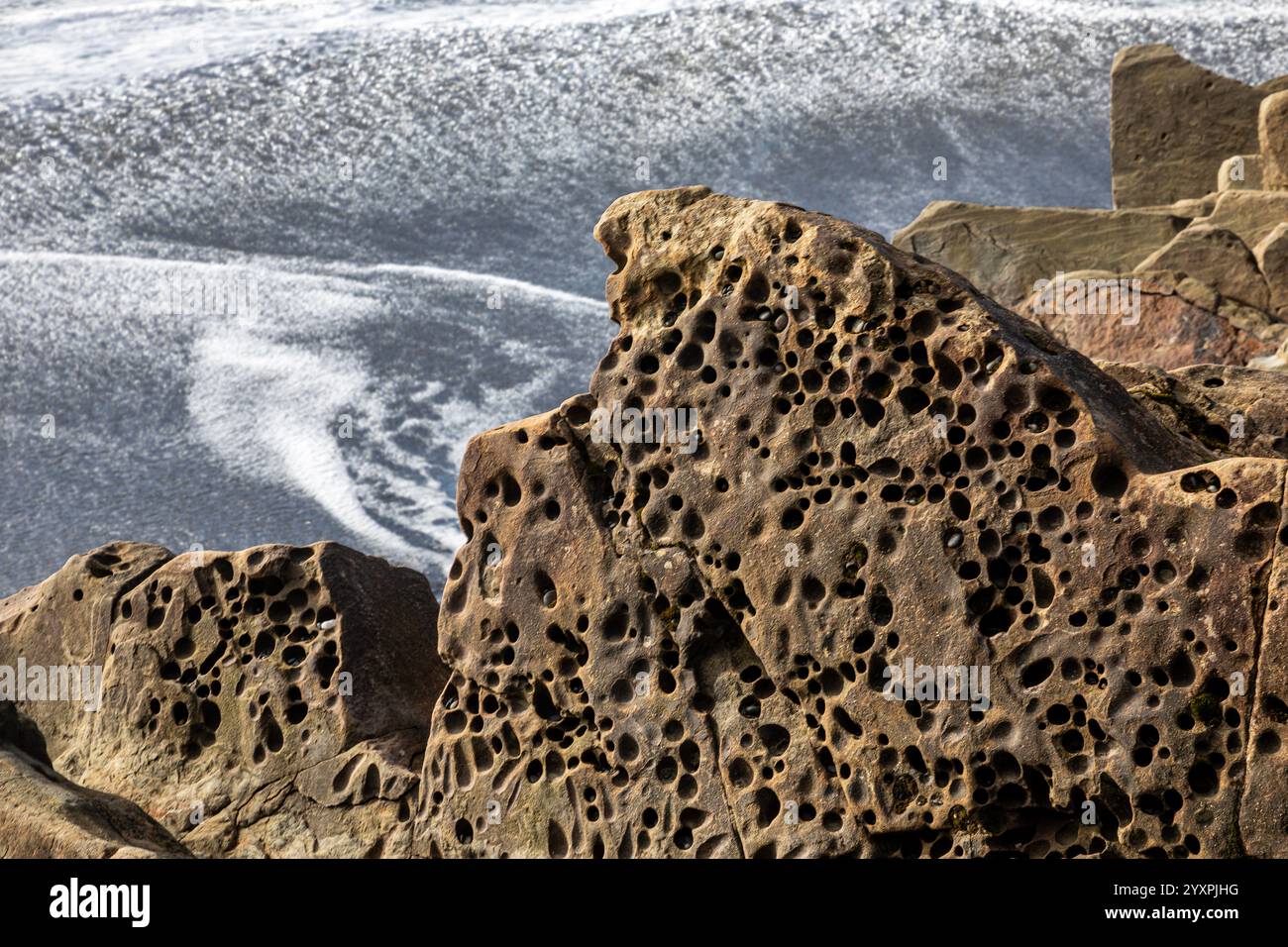 Soft shell clam hole hi-res stock photography and images - Alamy