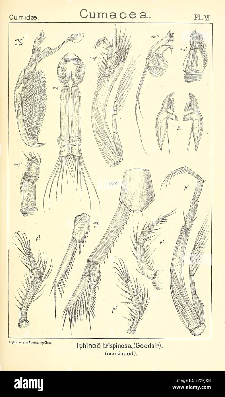 Labeled diagrams highlighting hi-res stock photography and images - Alamy