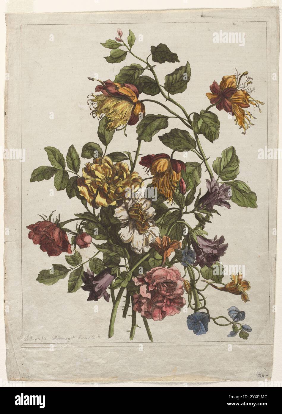 Antique Vintage Color Drawing of Botanical Stock Photo - Alamy