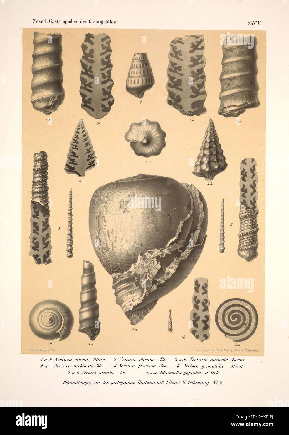 Biconical shapes hi-res stock photography and images - Alamy