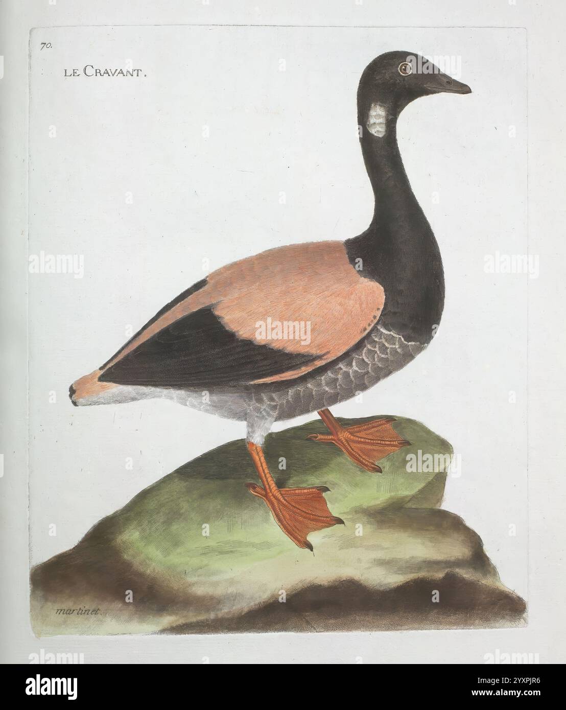 Le chavant hi-res stock photography and images - Alamy