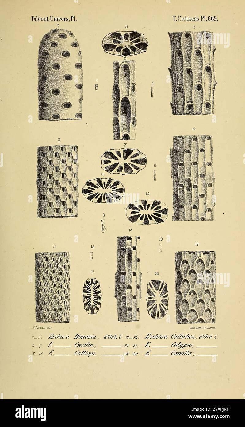 Labeled figure highlights unique textures hi-res stock photography and ...
