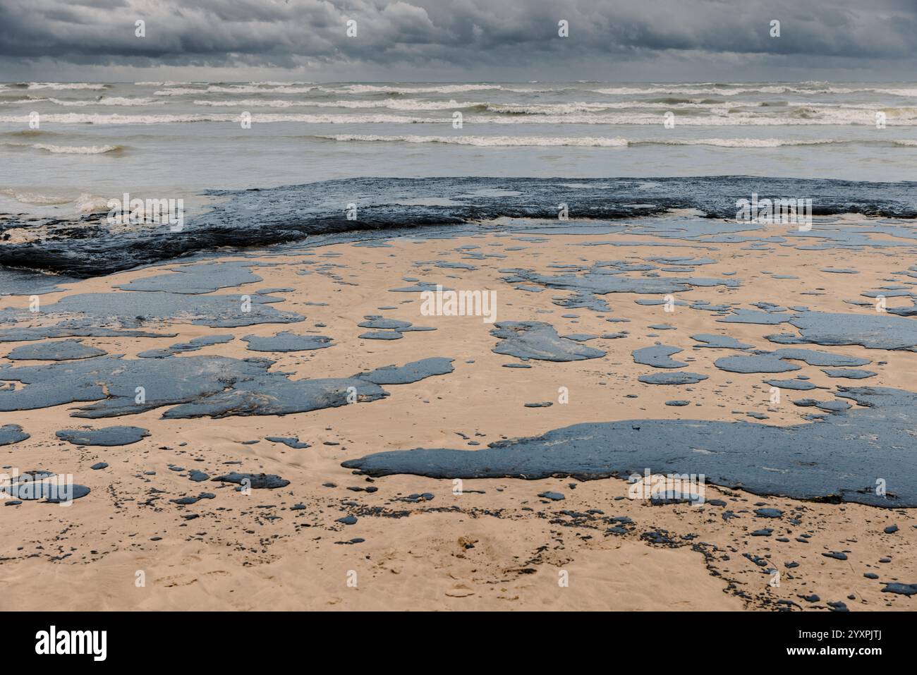 Oil in sea coastline after a tanker wreck. Fuel oil polluted beach ...