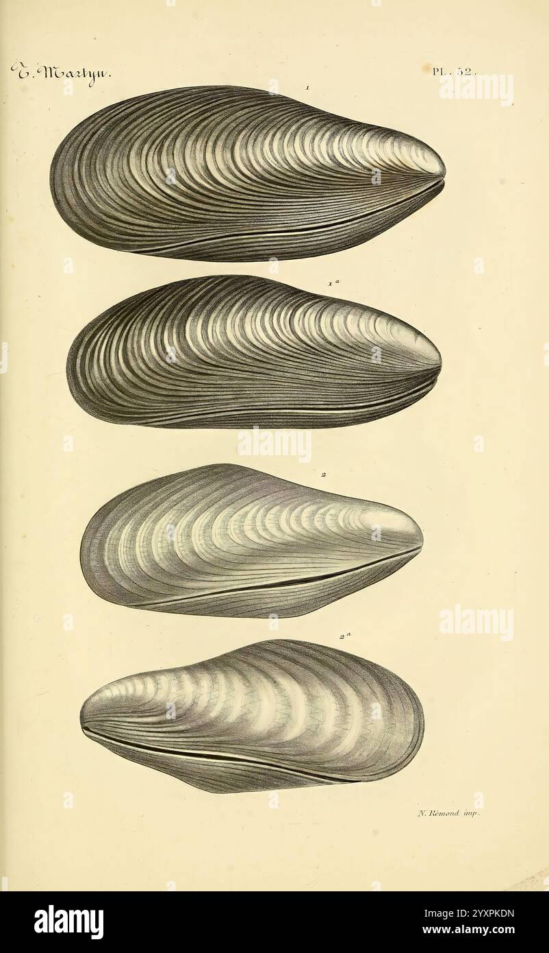 Present asymmetrical features hi-res stock photography and images - Alamy