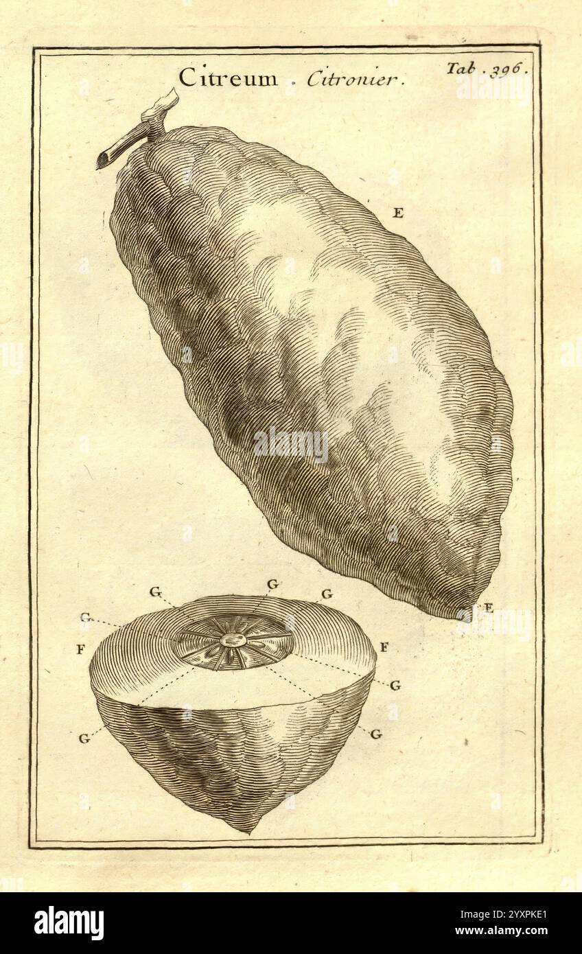 Artwork showcases two distinct views hi-res stock photography and ...