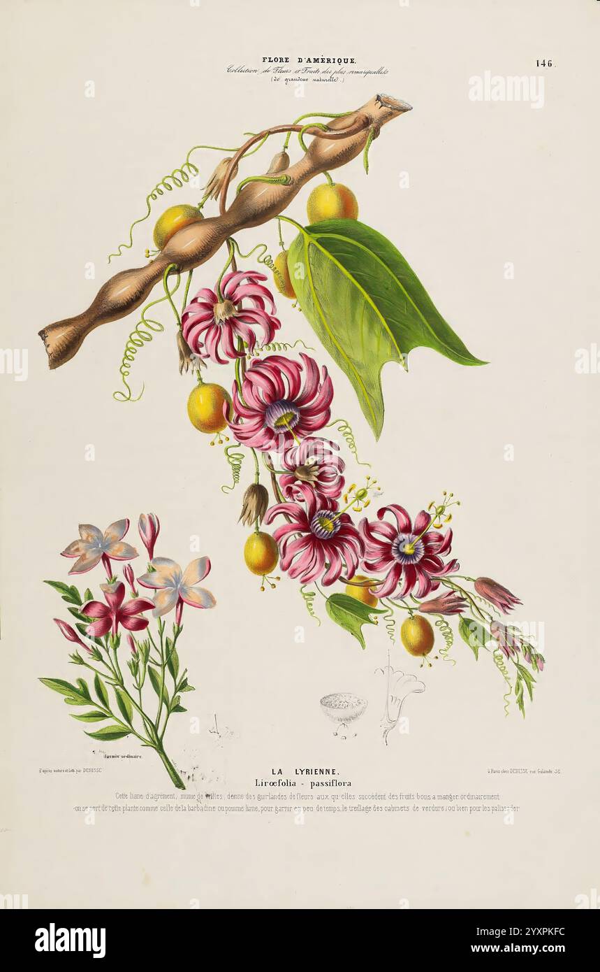 Adding further variety hi-res stock photography and images - Alamy