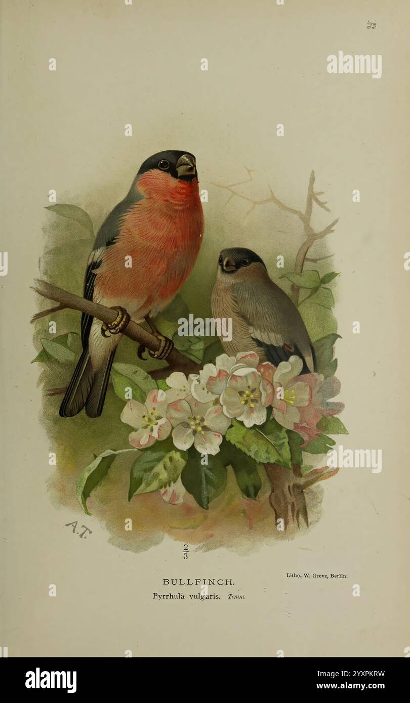 Serene poses reflect hi-res stock photography and images - Alamy