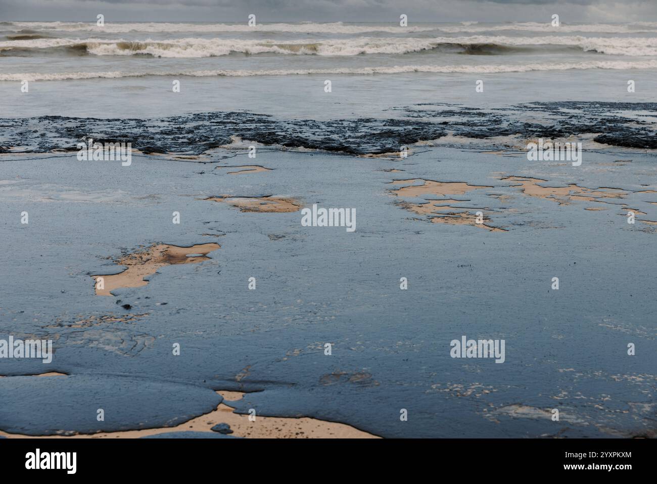 Sea and the beach are polluted with fuel oil. Beach oil spill impact ...