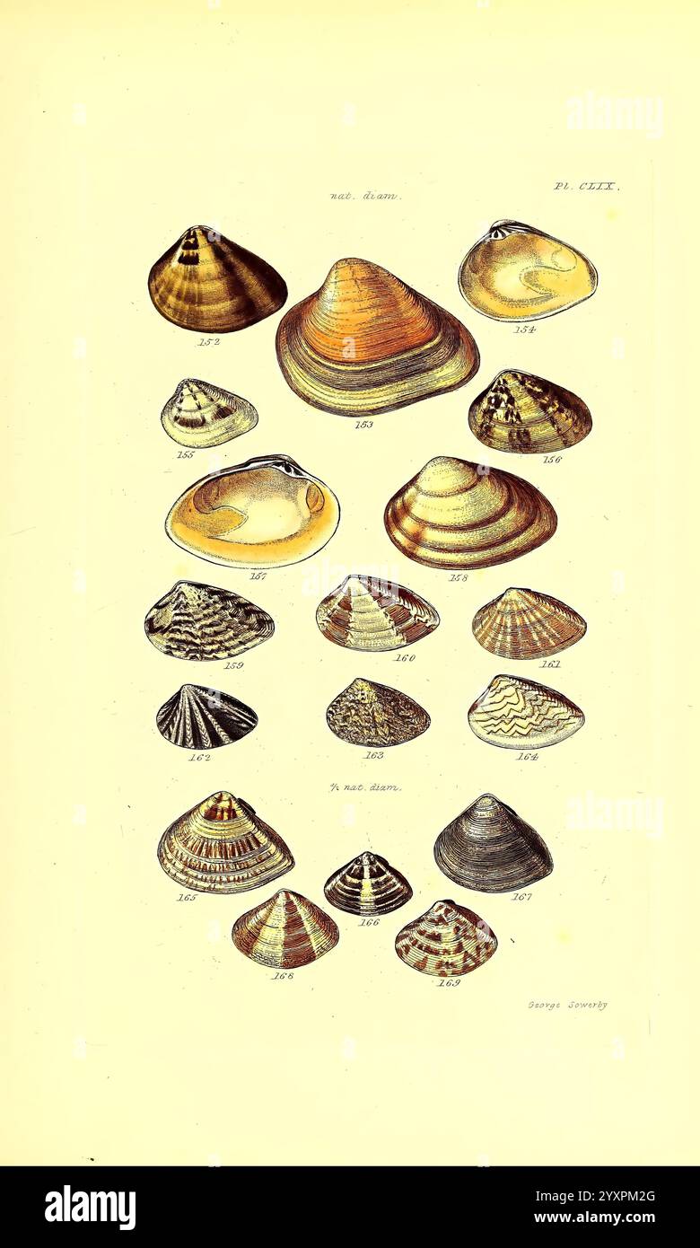 Exhibit striking stripes hi-res stock photography and images - Alamy