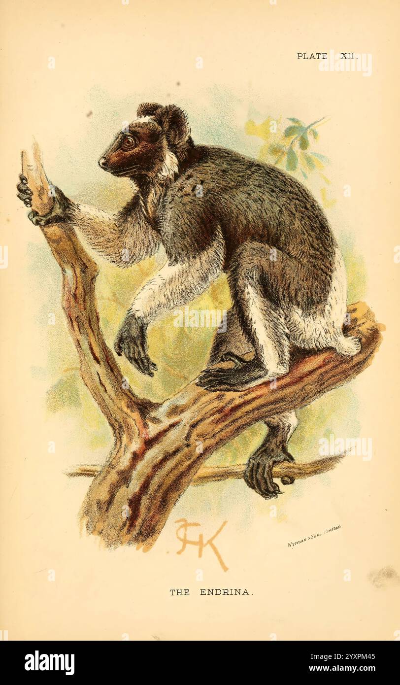 Distinct layered effect hi-res stock photography and images - Alamy