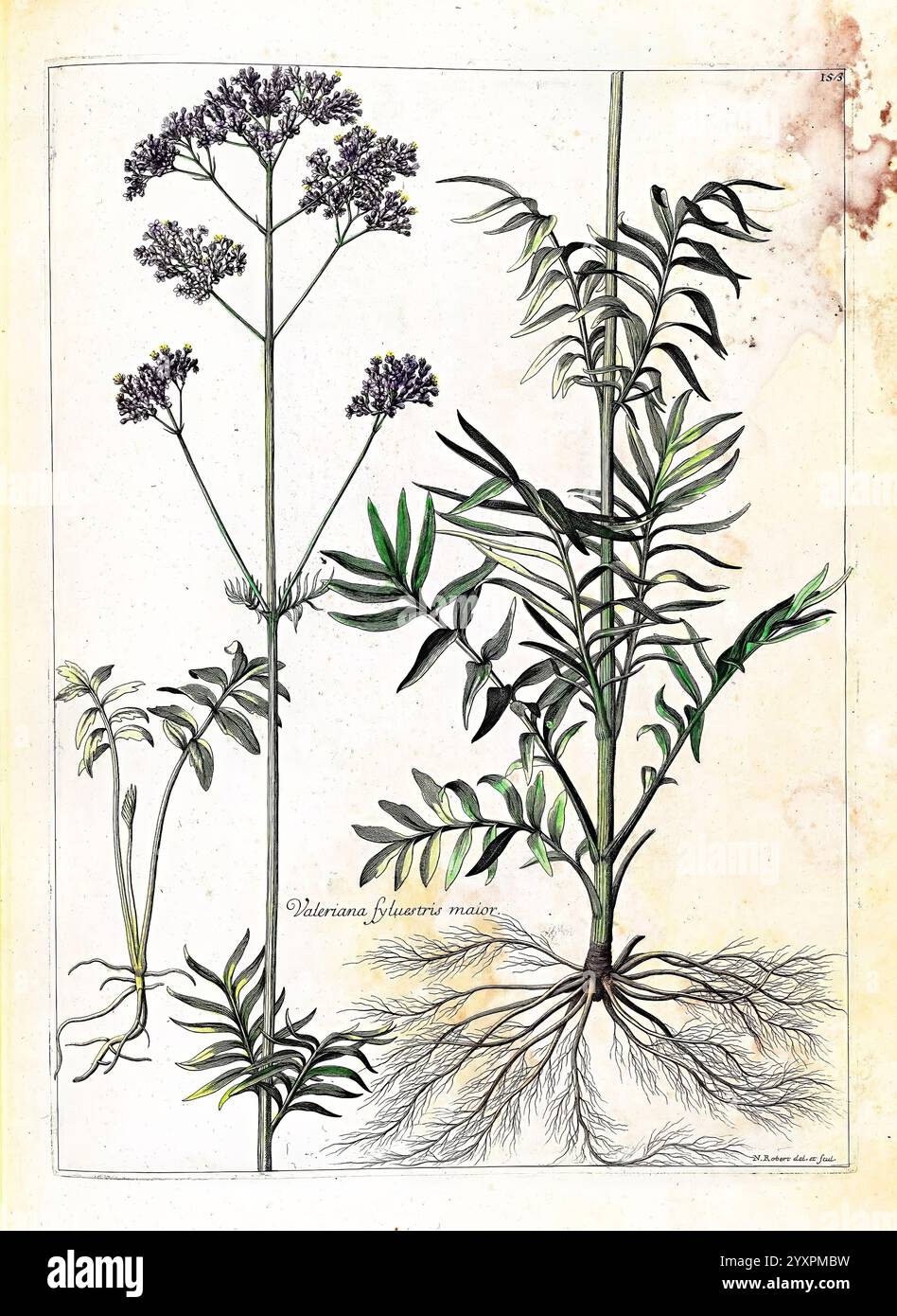 Smaller plant exhibits hi-res stock photography and images - Alamy