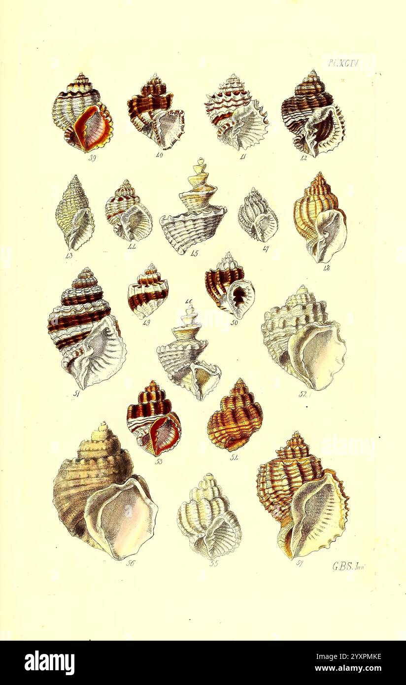 Numbered illustrations highlight hi-res stock photography and images ...