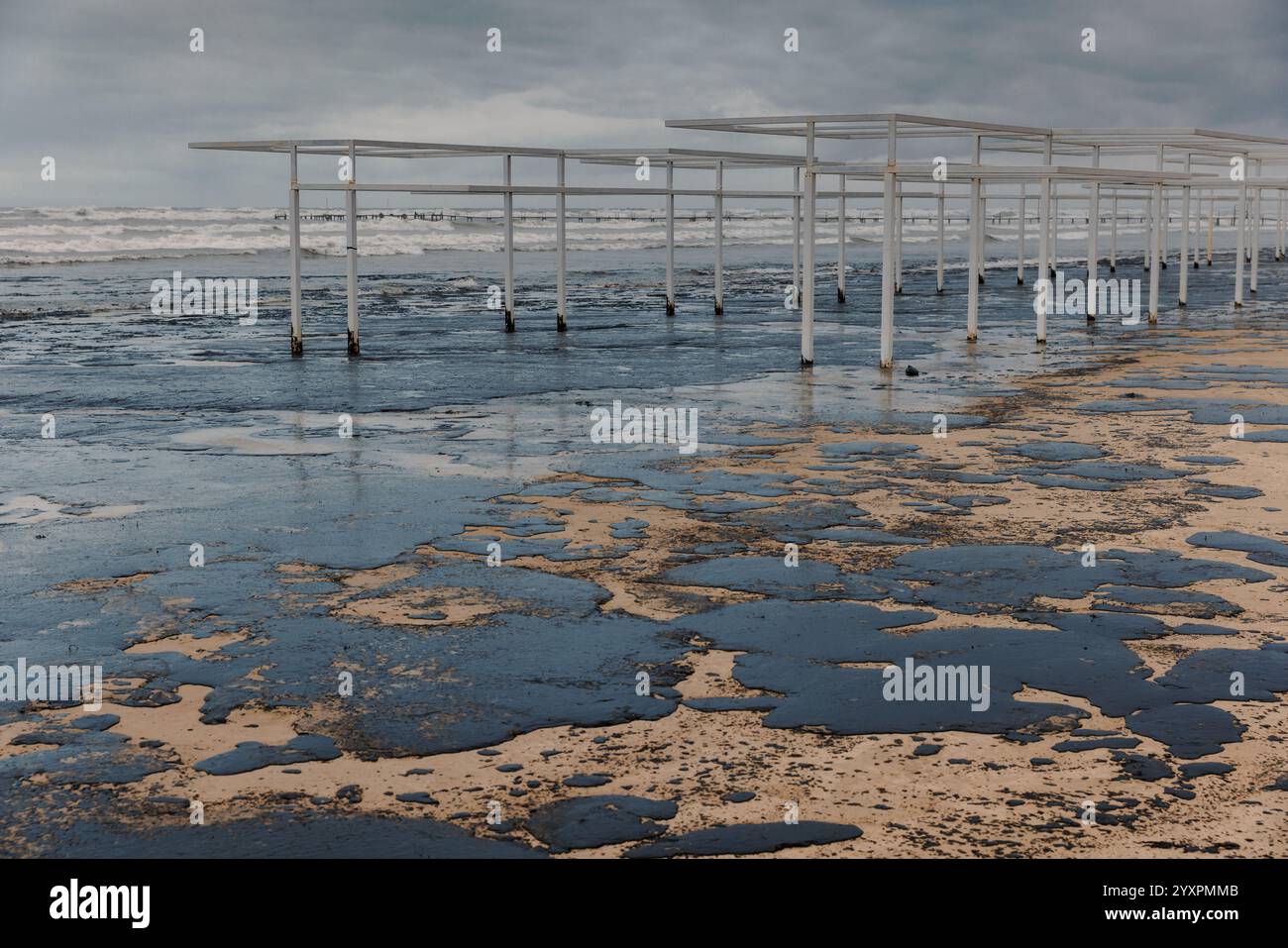 Beach and sea are polluted with fuel oil. Beach oil spill impact ...