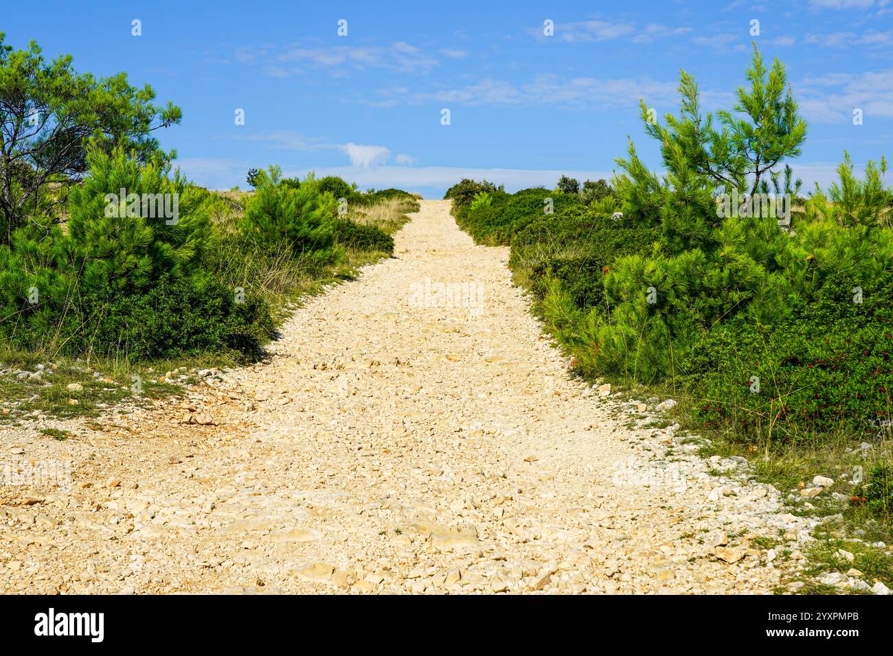 Abstract coarse rocky gravel road in rural area, perspective view, blue ...