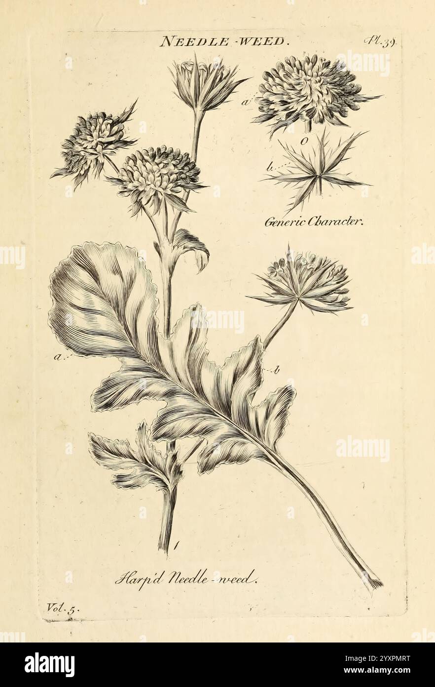 Providing identification cues hi-res stock photography and images - Alamy