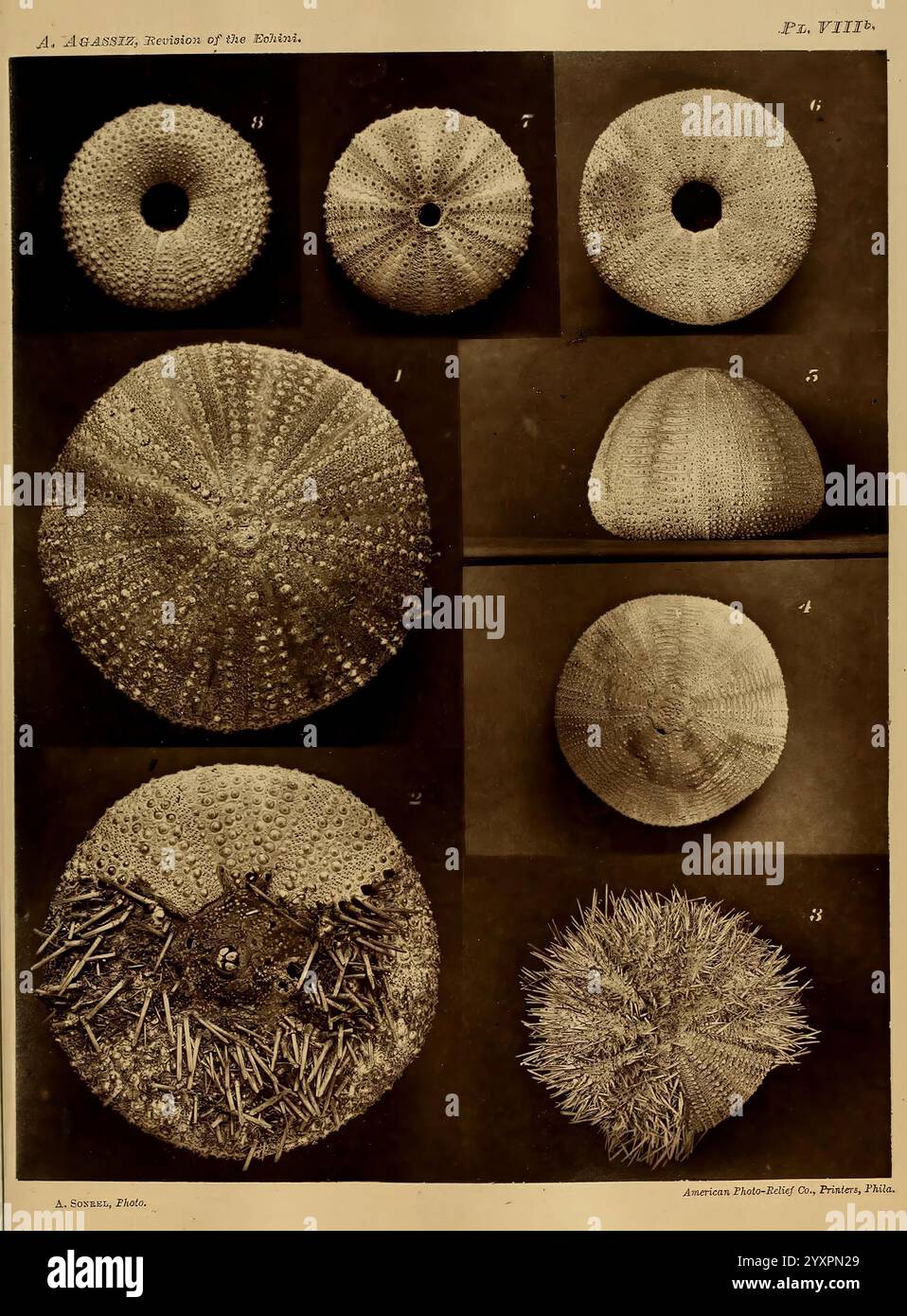 Top row presents various structural forms hi-res stock photography and ...