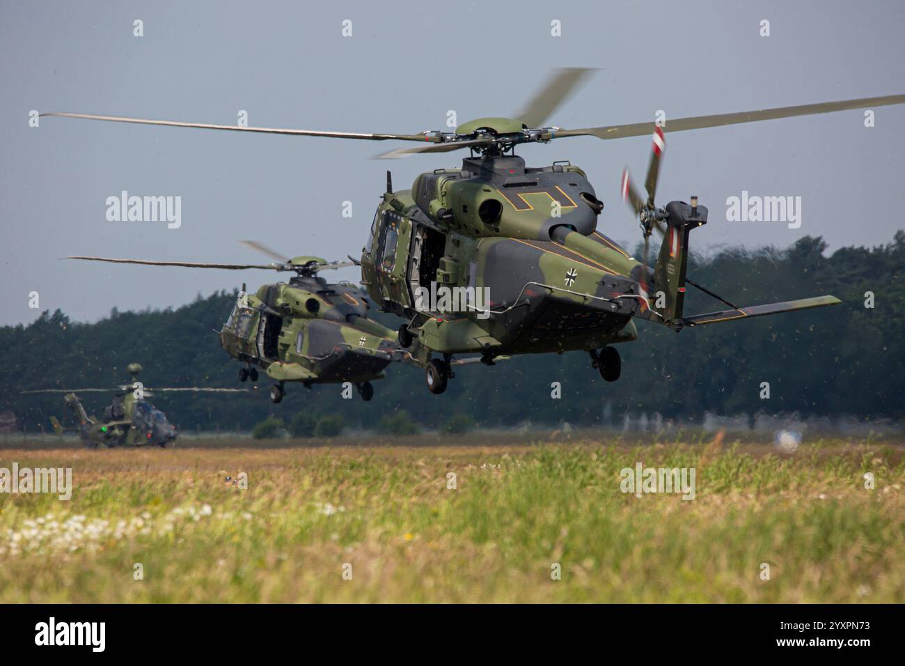 German Army NH-90 transport helicopters land in a field Stock Photo - Alamy