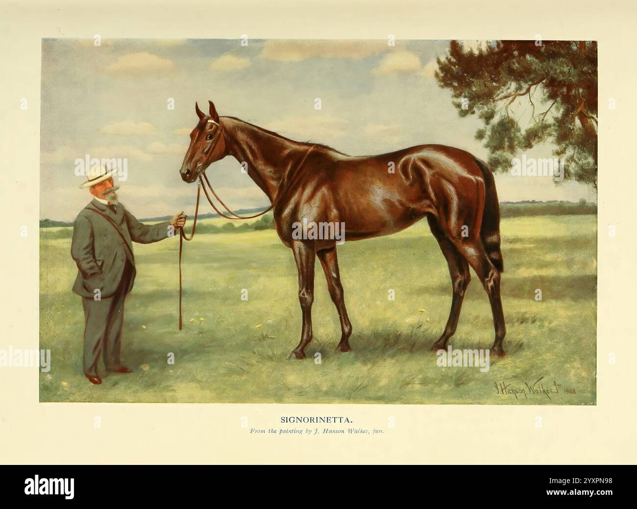 Poised horse stands hi-res stock photography and images - Alamy