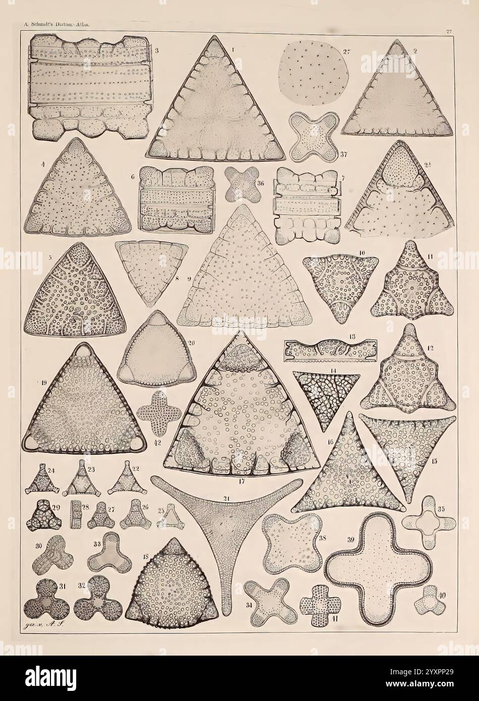 Quadrilateral figures hi-res stock photography and images - Alamy