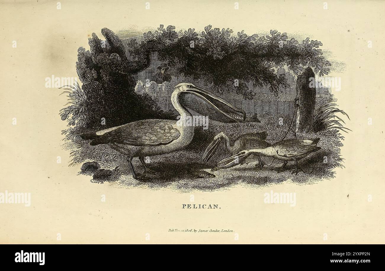 Hints of structures hi-res stock photography and images - Alamy