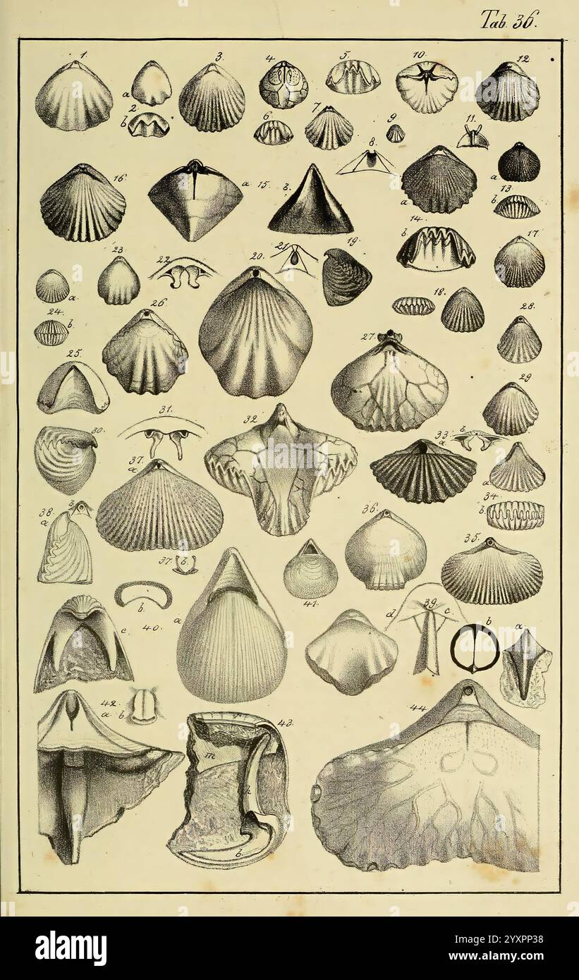 Rounded ones hi-res stock photography and images - Alamy