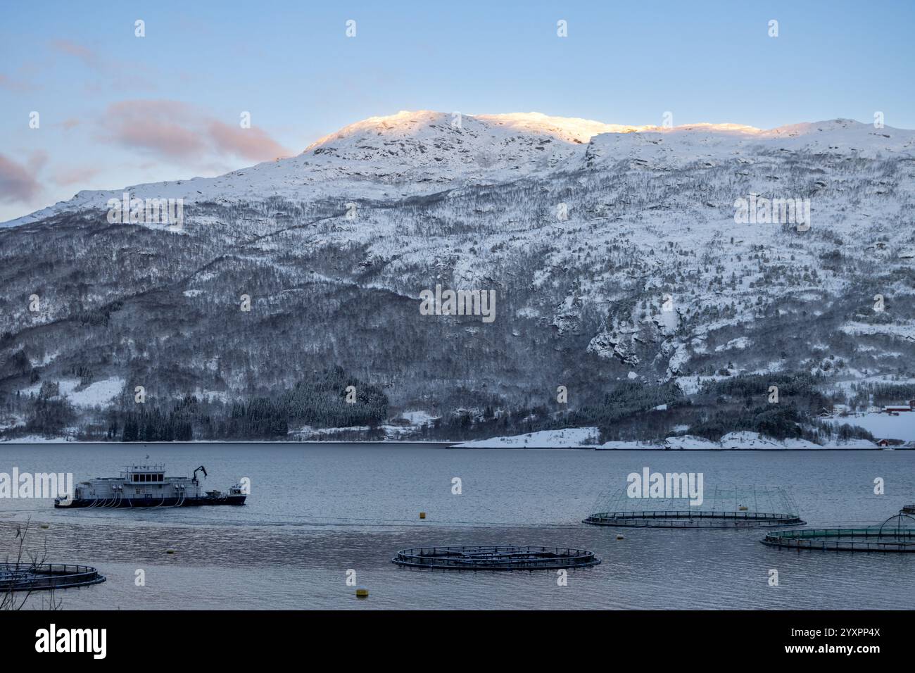 A part of agriculture - fish and seafood farming in a fjord. Boat and a ...