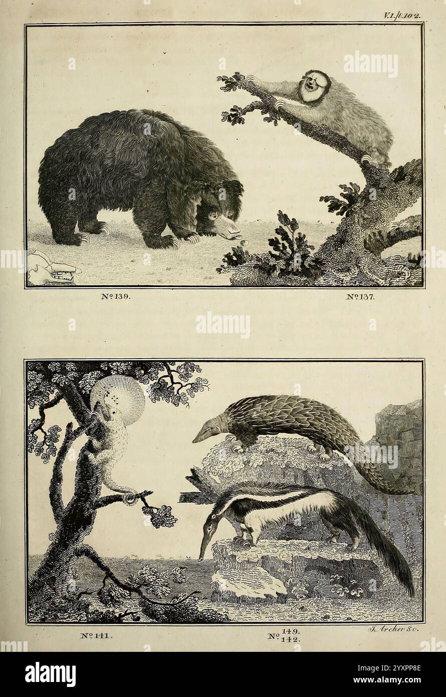 Serpentine creature coiled hi-res stock photography and images - Alamy