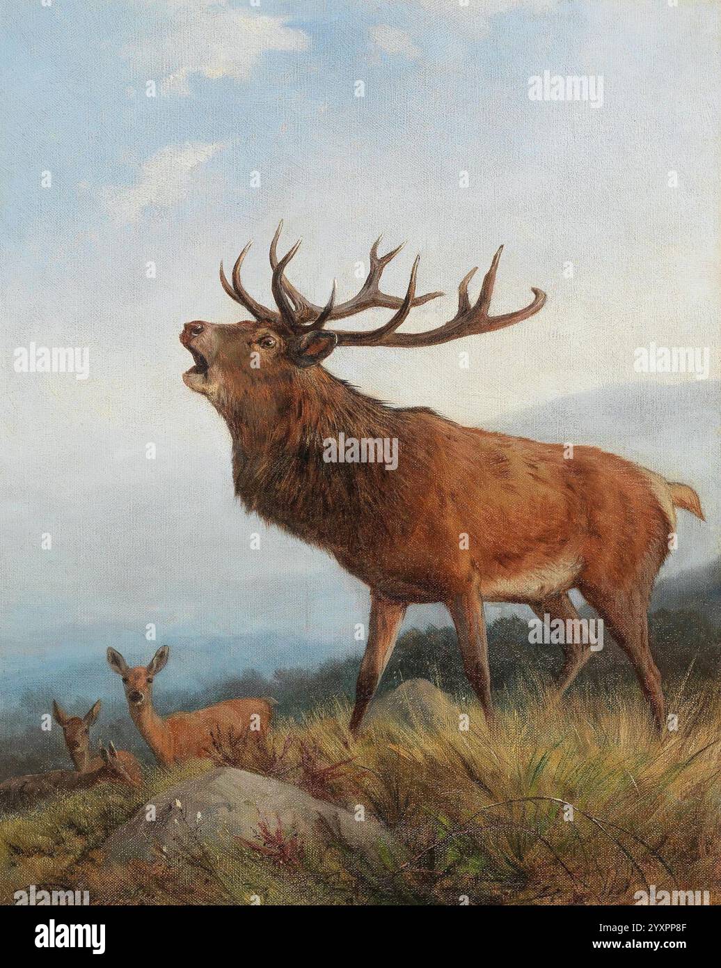 Carl Friedrich Deiker - A Bellowing Stag Stock Photo - Alamy