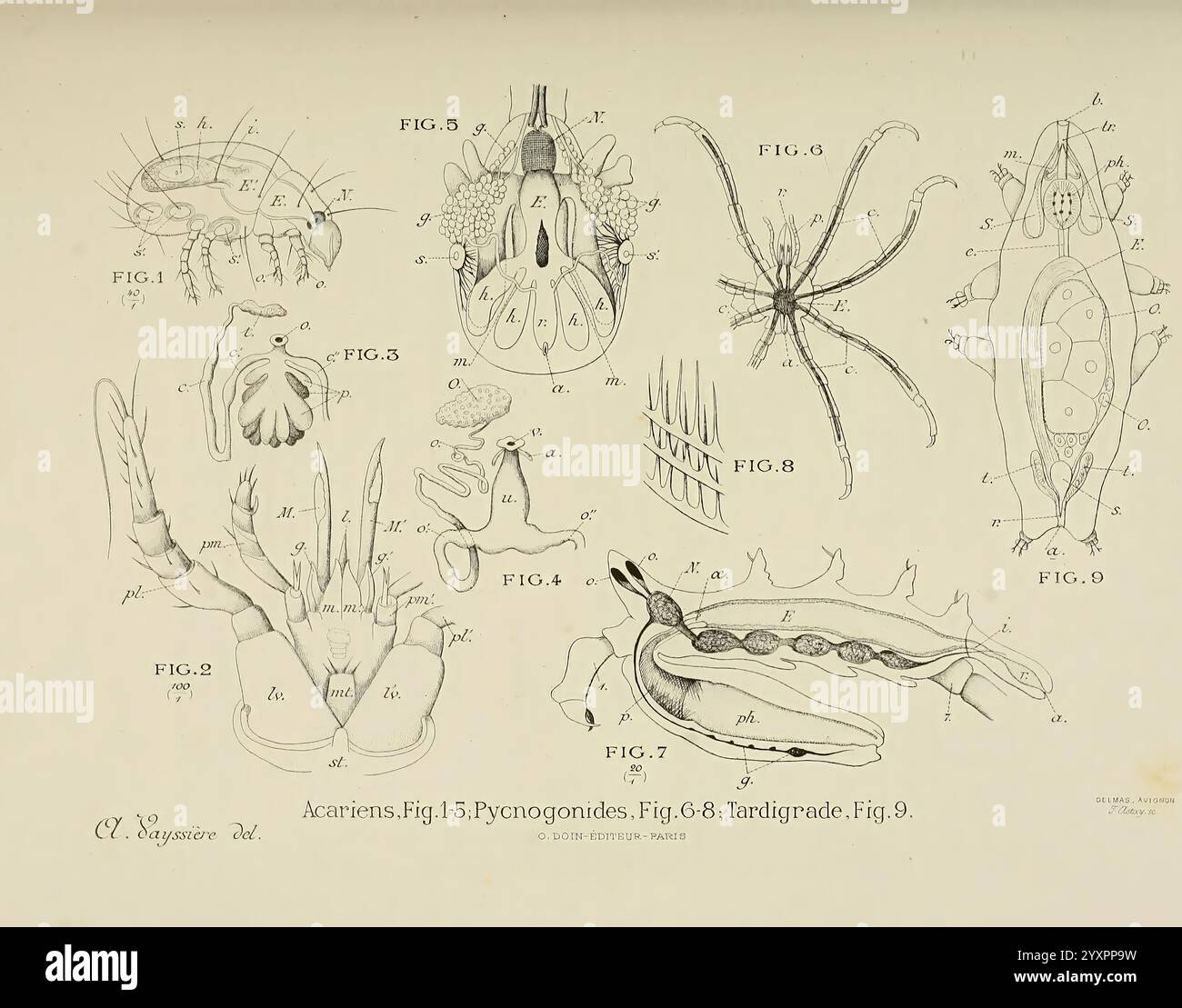Identify specific features hi-res stock photography and images - Alamy