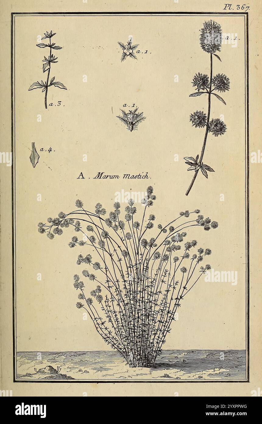 Les figures des plantes et animaux d'usage en medecine, Paris, Desprez ...