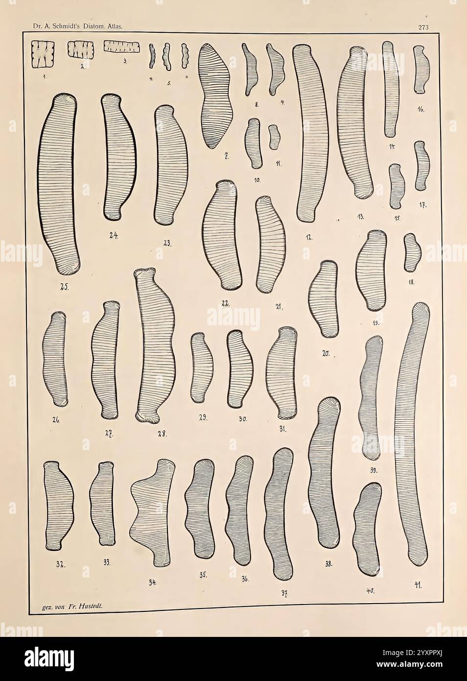 Contours creates hi-res stock photography and images - Alamy