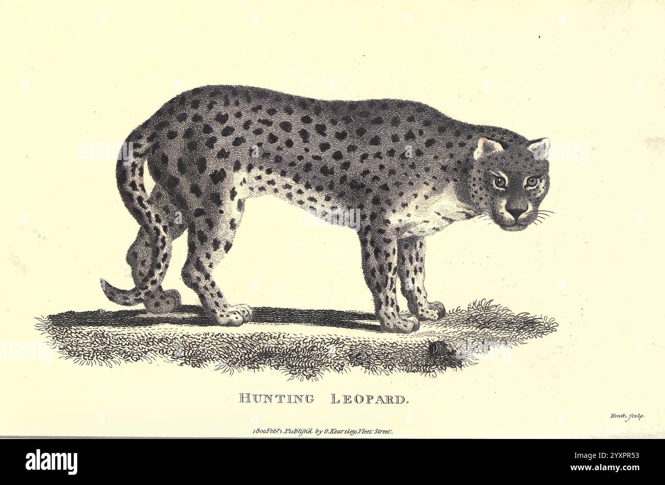 Realistic stance hi-res stock photography and images - Alamy