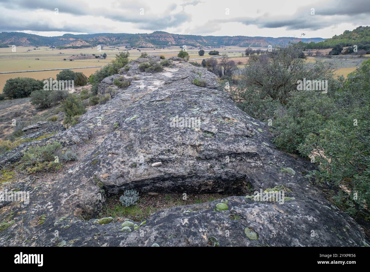 Vida antigua hi-res stock photography and images - Alamy