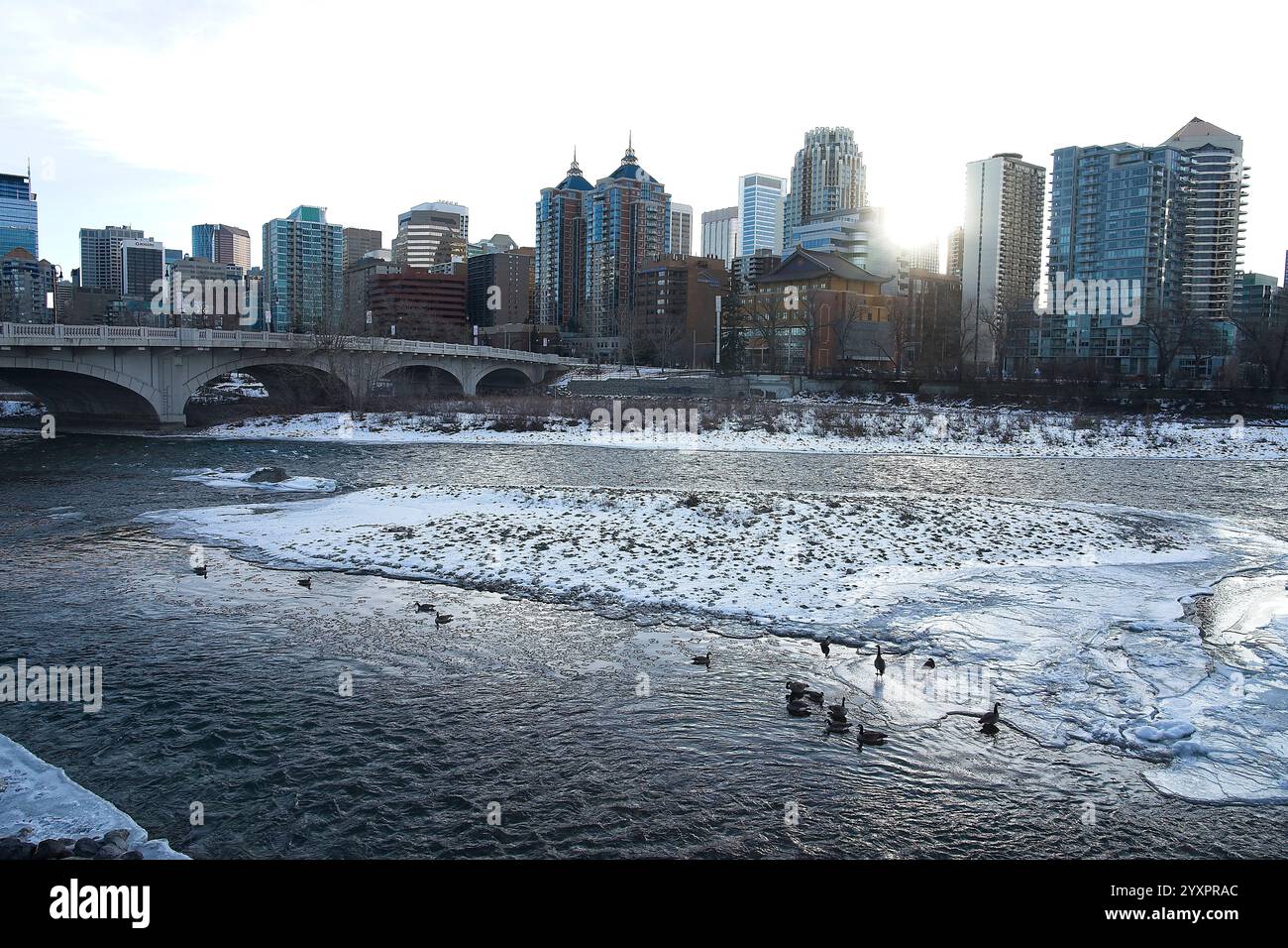 Pedestrian bridge over the Bow River in downtown Calgary Alberta Canada ...
