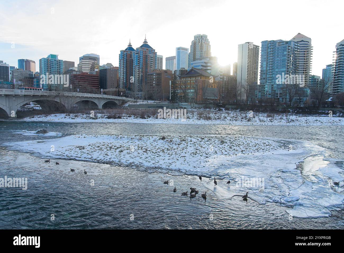 Pedestrian bridge over the Bow River in downtown Calgary Alberta Canada ...