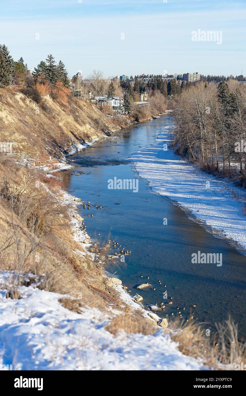 Bow elbow river calgary hi-res stock photography and images - Alamy