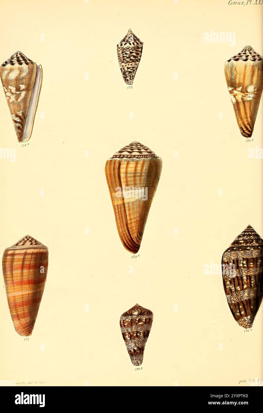 Showcasing tapered forms hi-res stock photography and images - Alamy