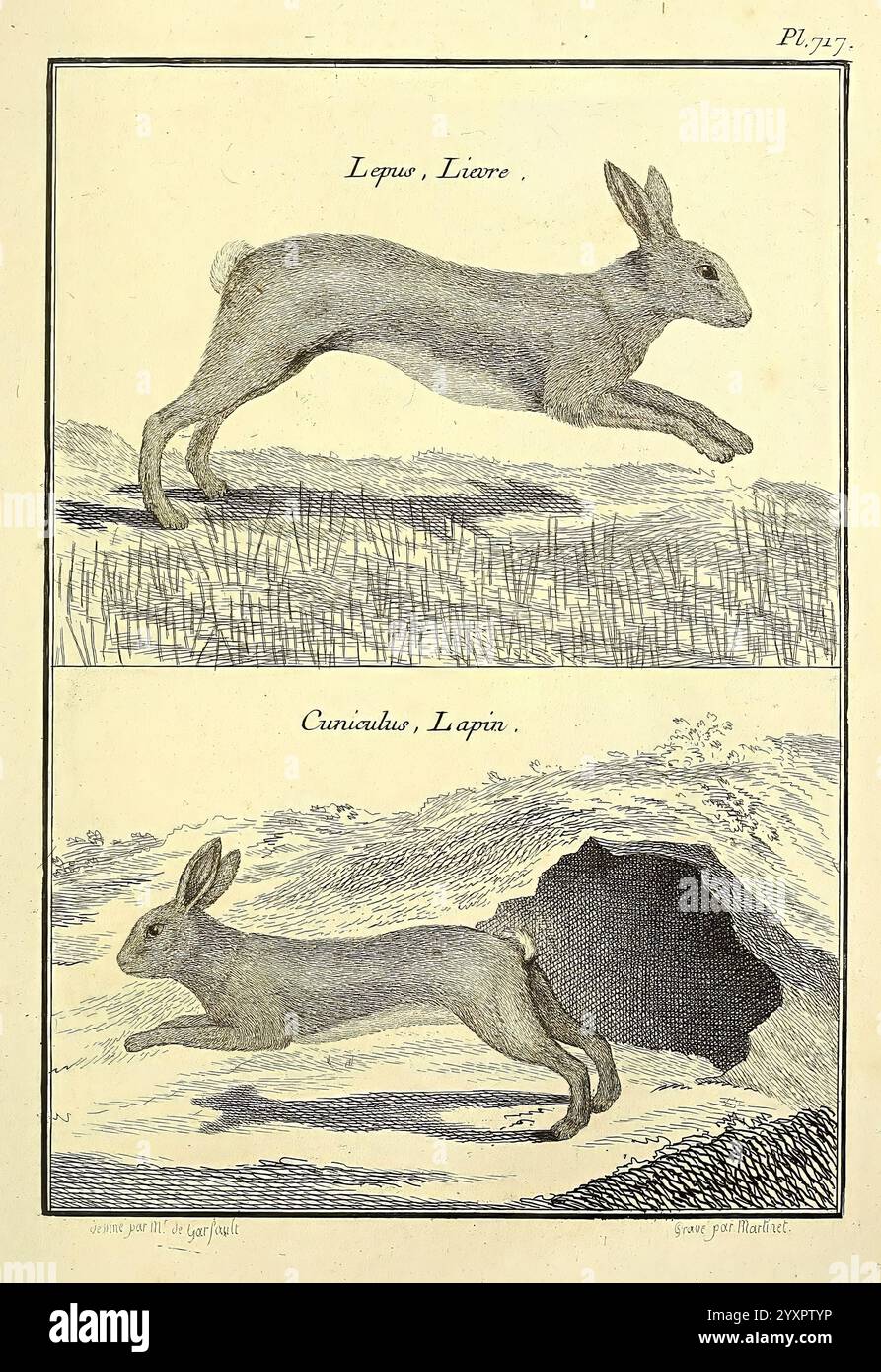 Les figures des plantes et animaux d'usage en medicine, Paris, Desprez ...