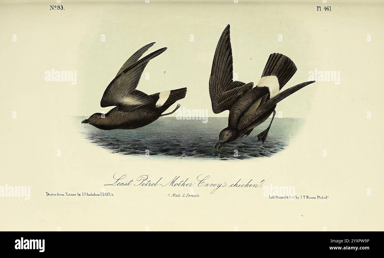 Downward trajectory hi-res stock photography and images - Alamy