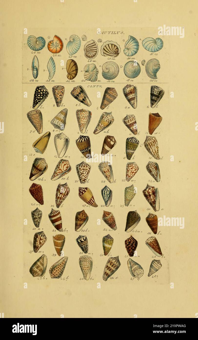 Swirling colors hinting hi-res stock photography and images - Alamy