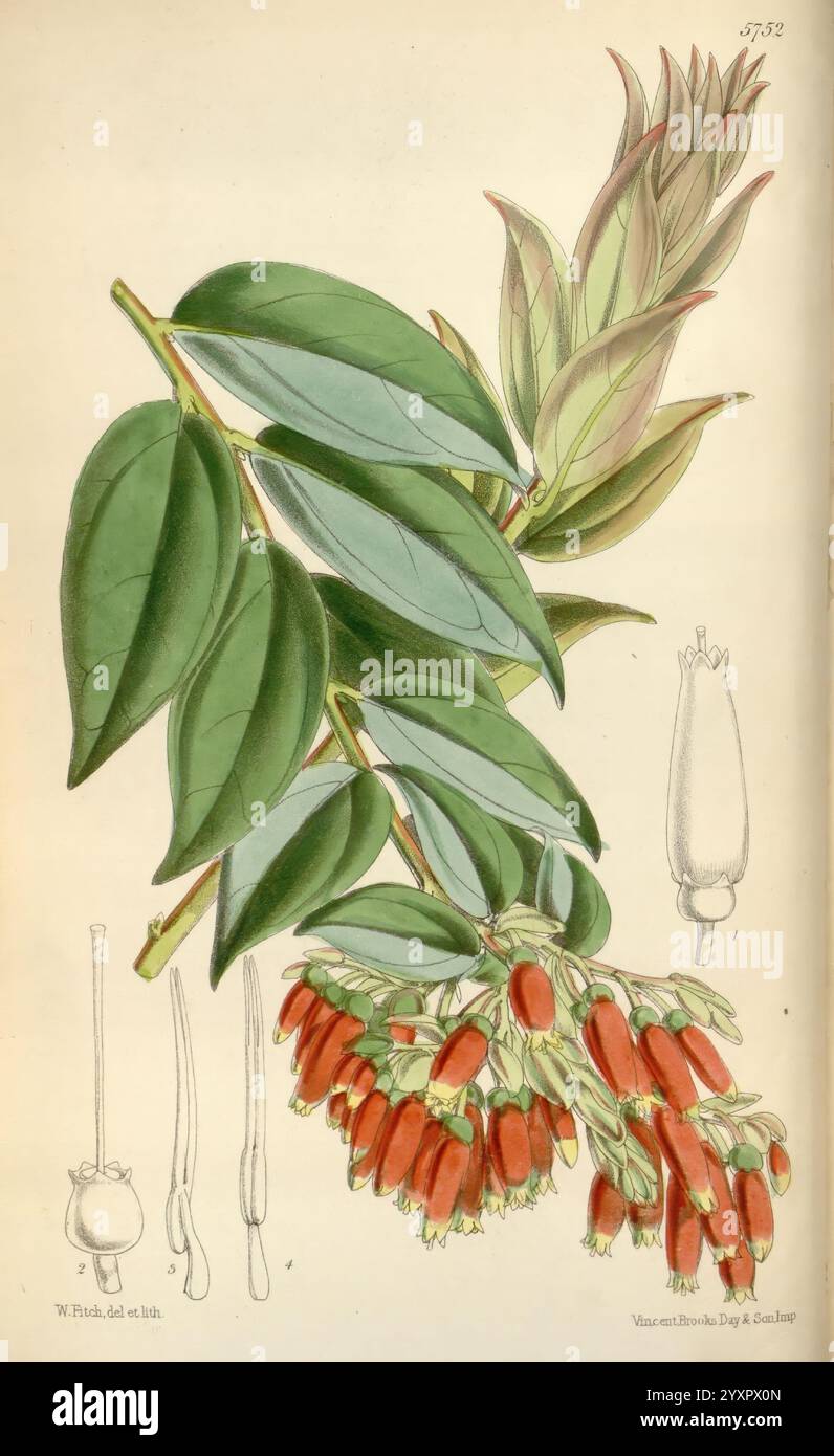 Prominent tubular shape hi-res stock photography and images - Alamy