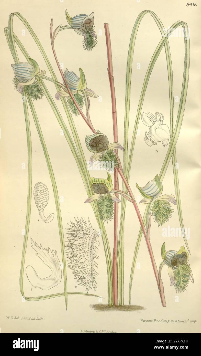 Unique tubular shapes hi-res stock photography and images - Alamy