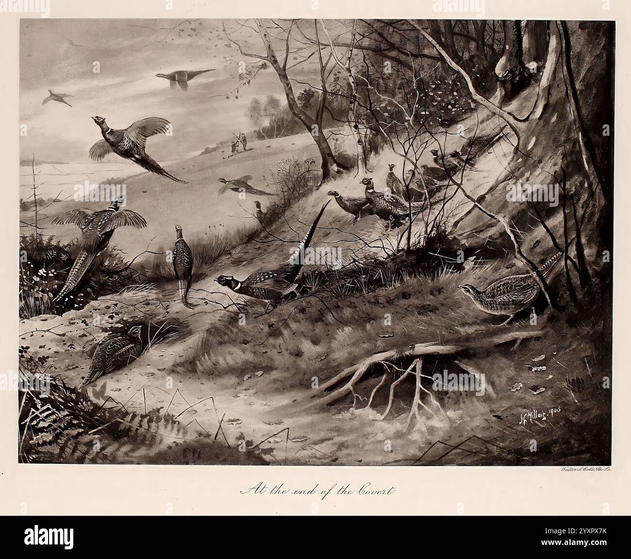 The natural history of British game birds, London, Longmans, Green and ...