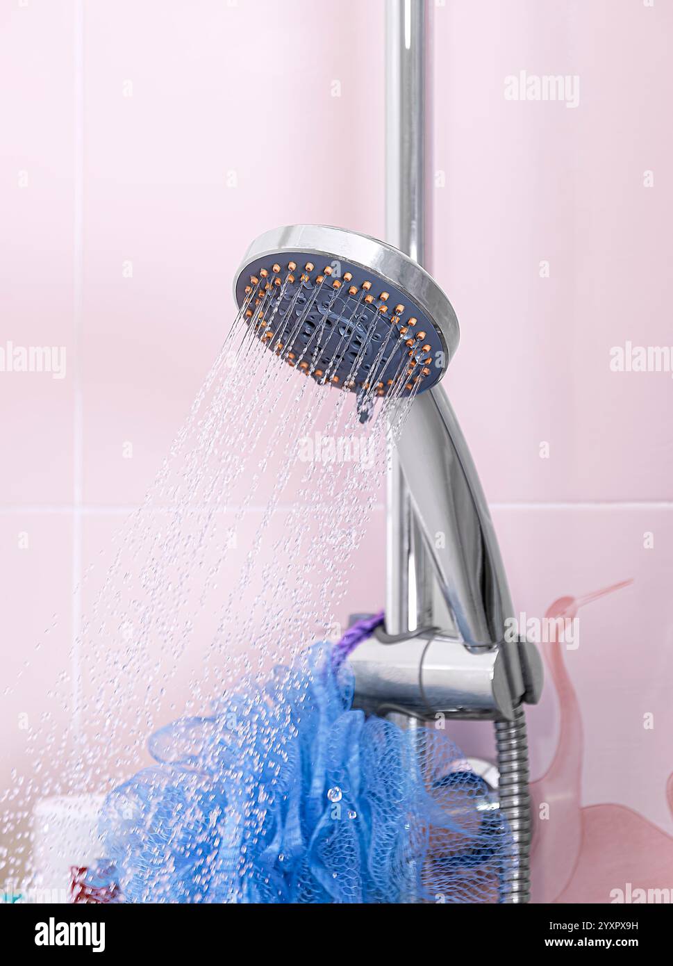 REmovable shower head placed on its support and spraying water into the ...