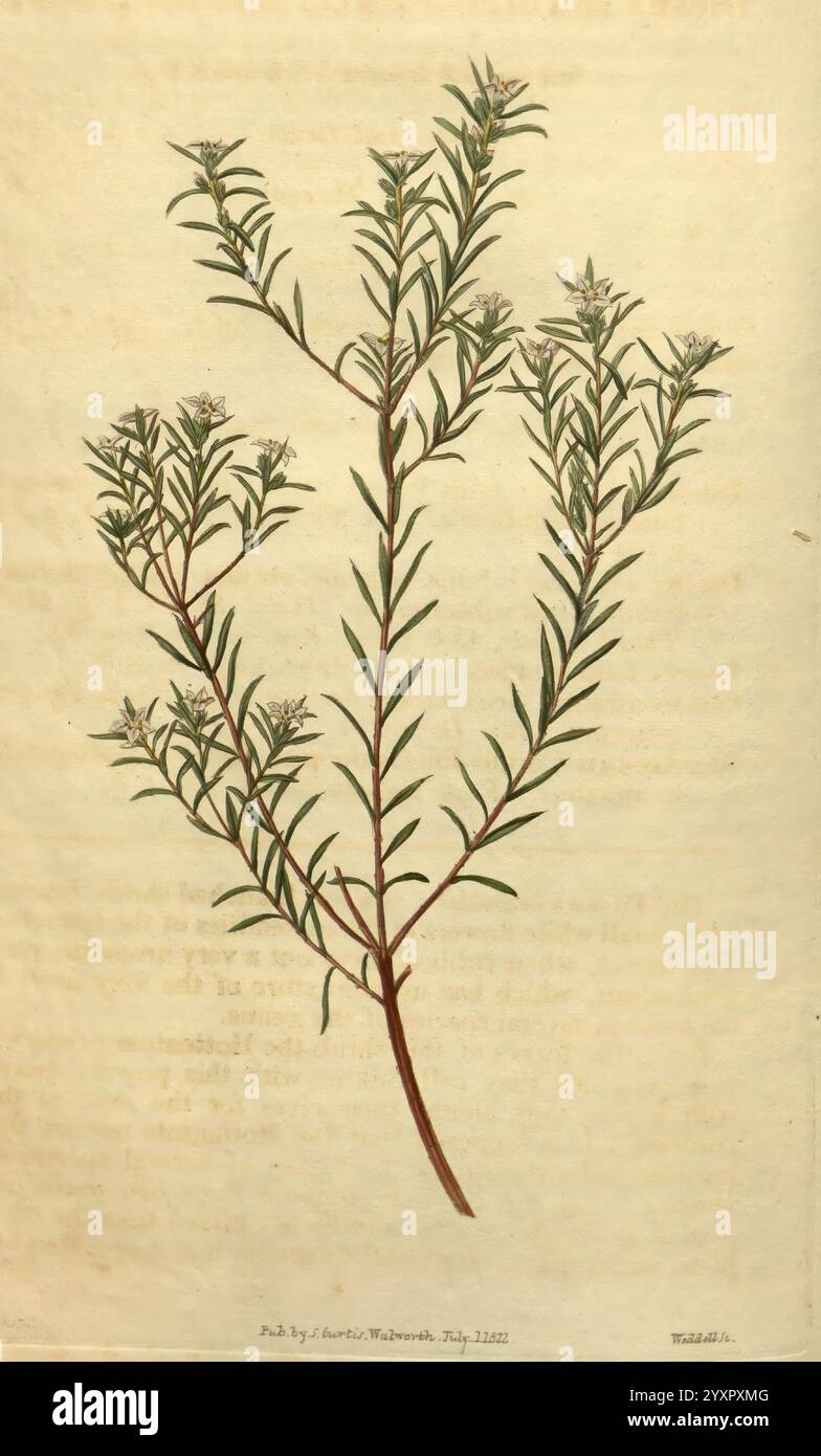 Slightly alternate manner hi-res stock photography and images - Alamy